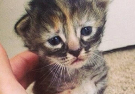 My week: don’t leave me this way – housegoeshome