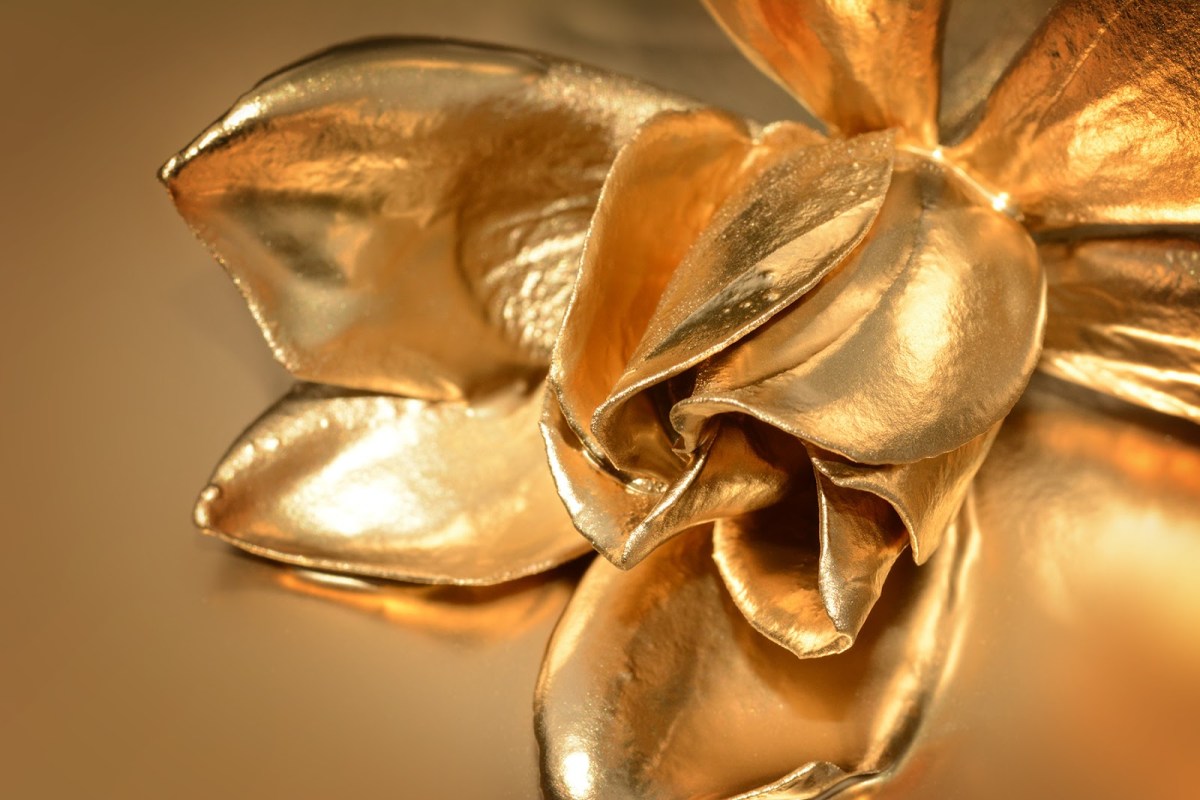 Gilding the lily – housegoeshome
