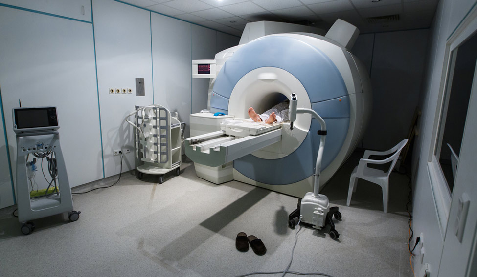 Losing the plot – housegoeshome