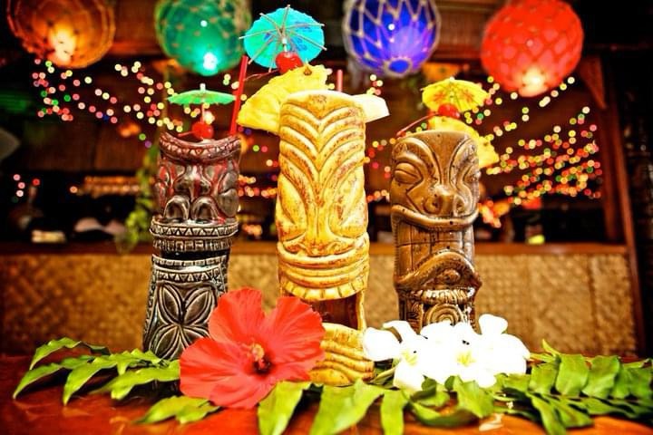 Maholo Hawaii! – housegoeshome
